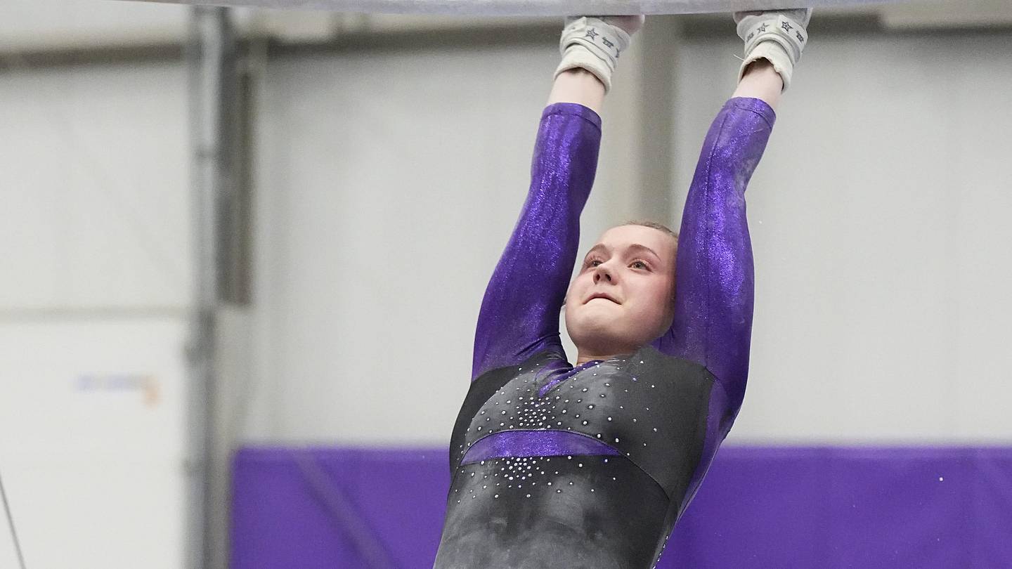 Premier Gymnasts To Take Center Stage at Wisconsin (WIAA) State ...