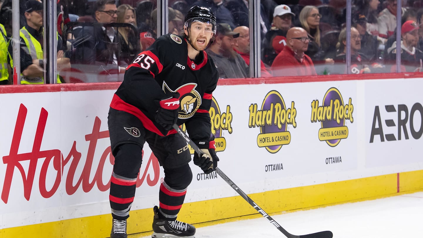Ottawa Senators Defender Joins USA Roster