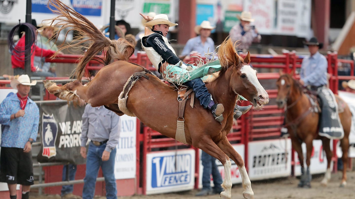 Professional Rodeo Recap: All of the Action From Arizona to Alberta