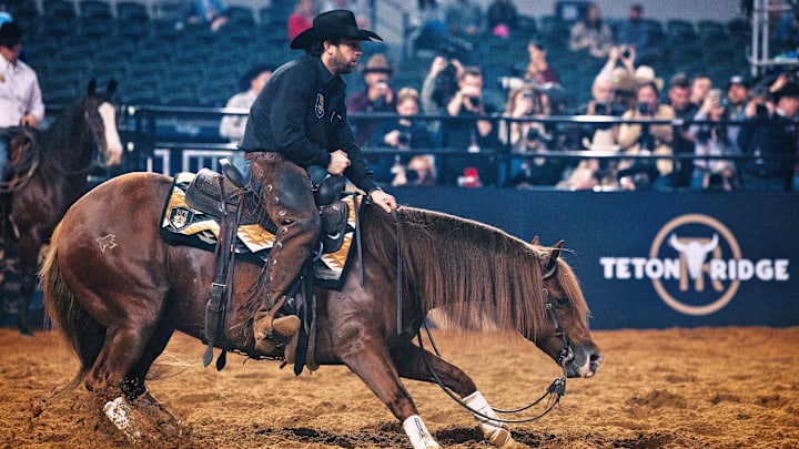 Stellar Performances Produce Champions at NCHA 2024 NRR Cat King Cole ...