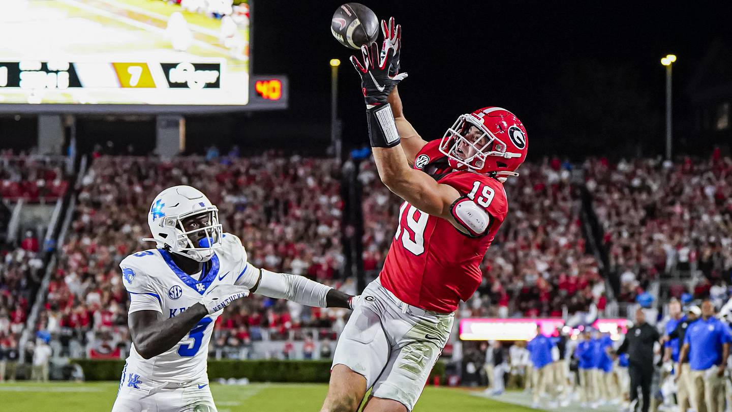 Georgia Bulldogs vs Kentucky Wildcats: Gameday Weather Forecast For ...