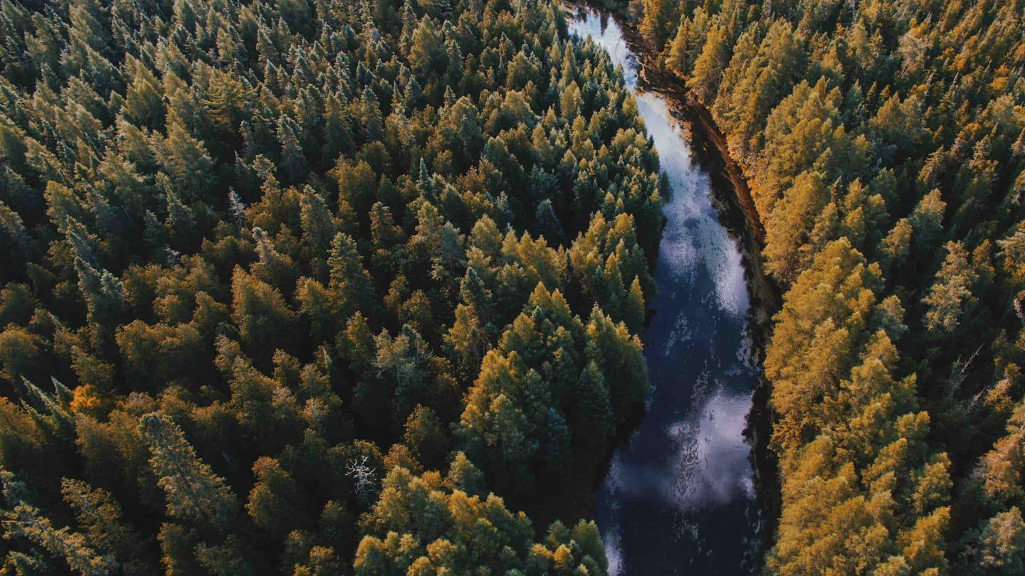 Star of Famed Survival TV Show 'Naked and Afraid' Tragically Killed in ...