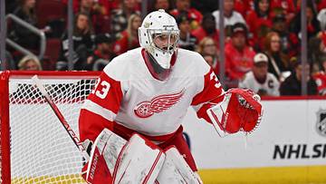 Detroit Red Wings Rumors, Trades & Free Agency - Octopus Thrower