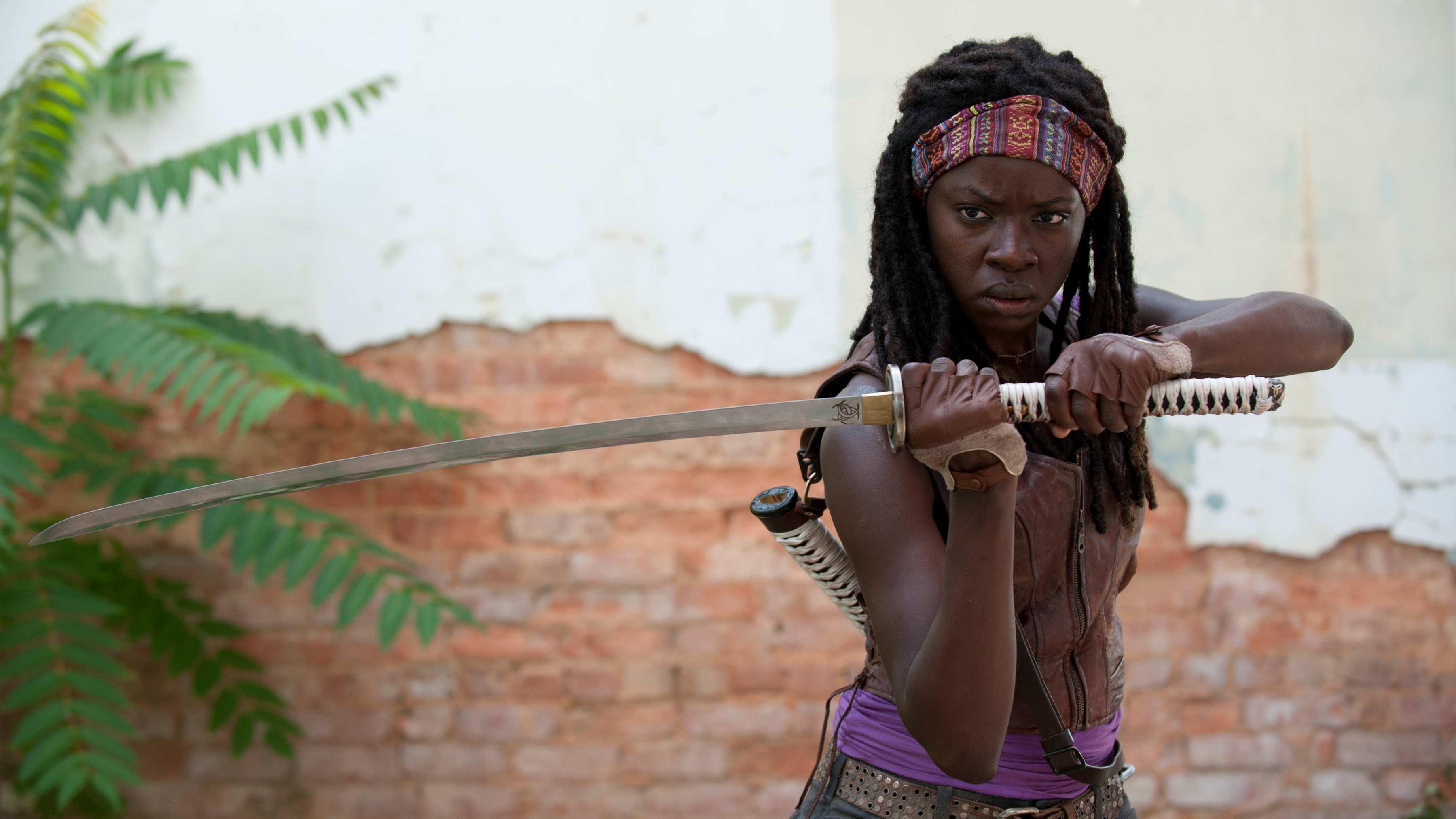 michonne's vision