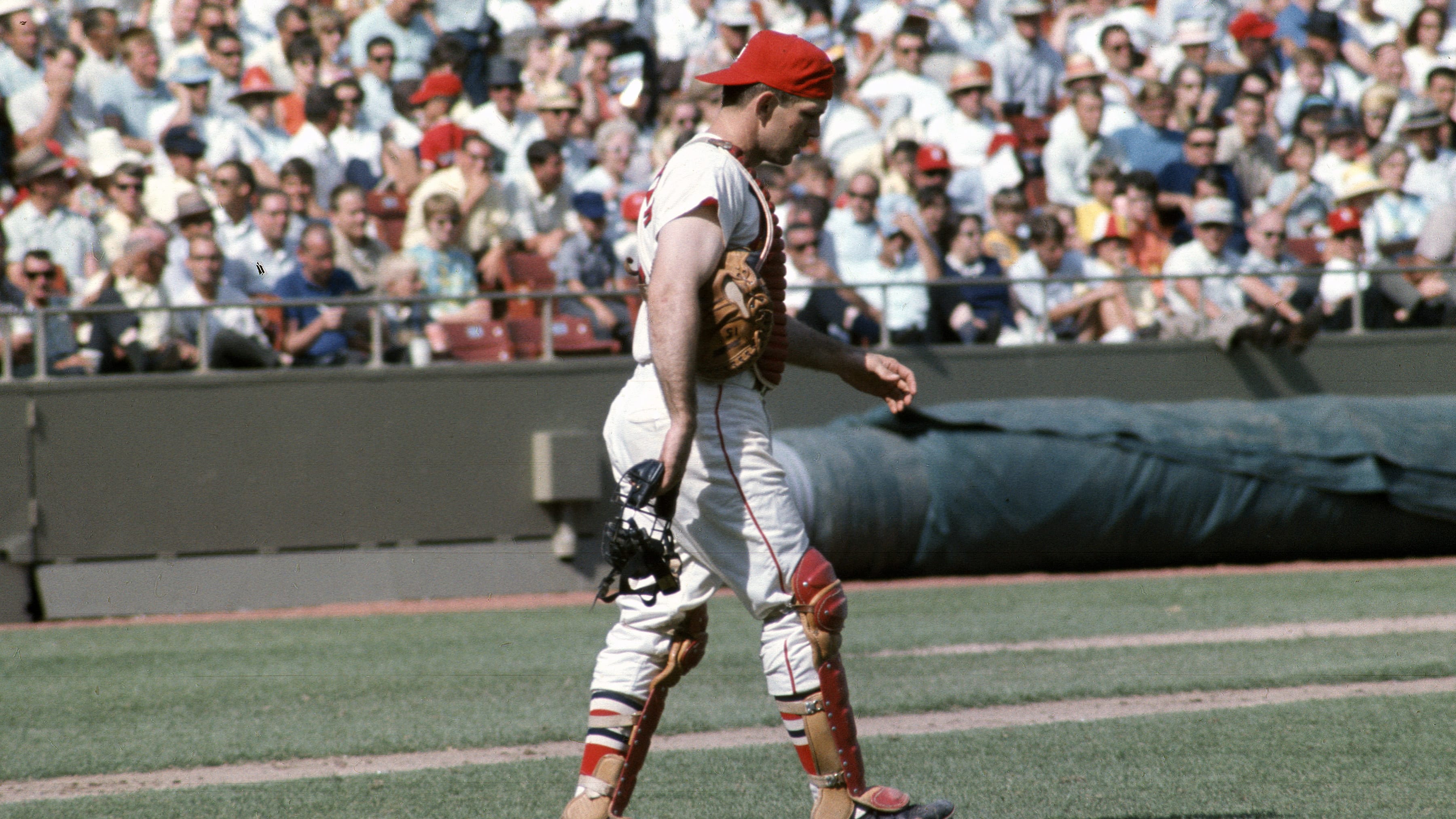 St. Louis Cardinals' legend Tim McCarver has passed away at age 81