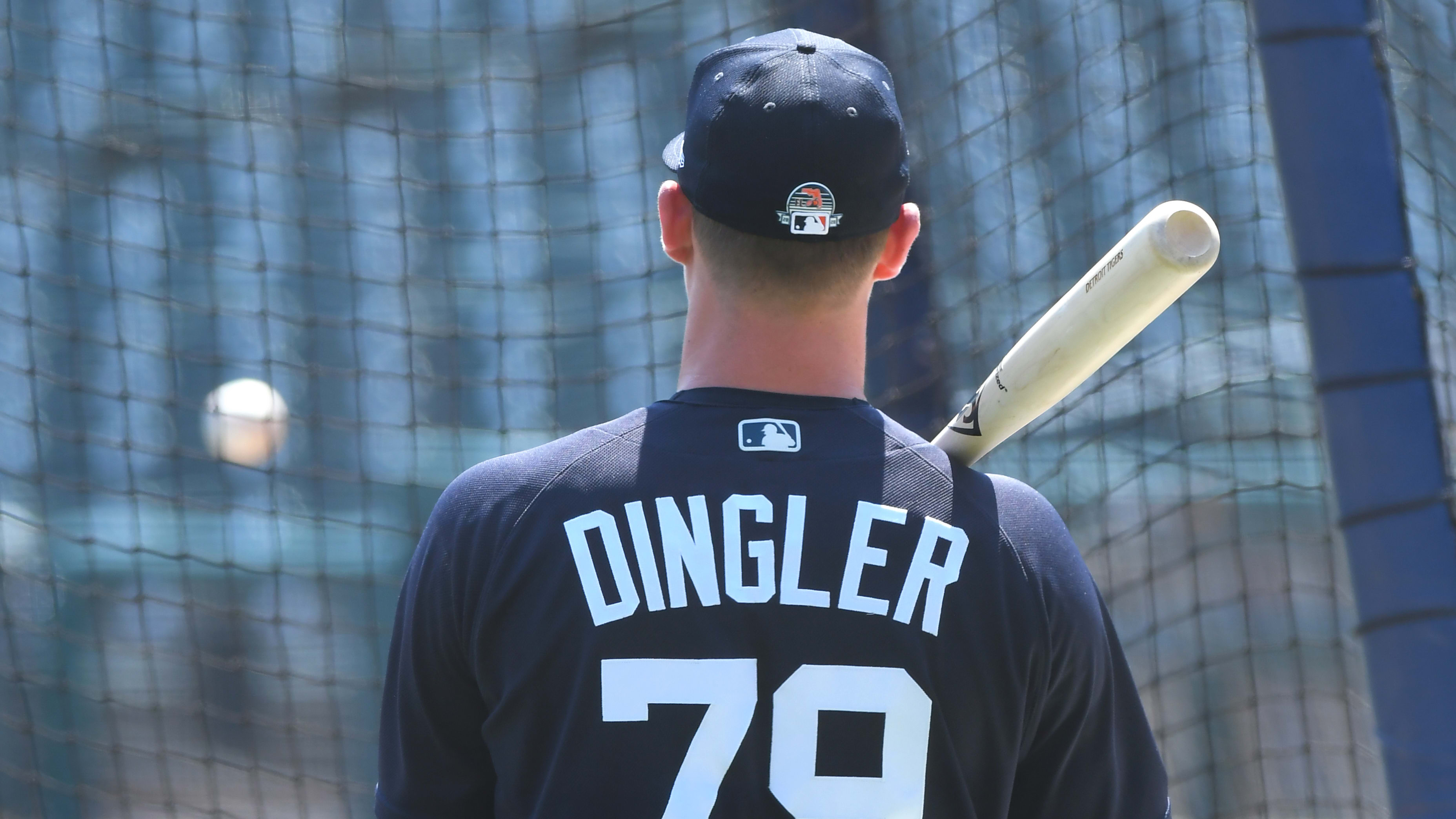 Dillon Dingler can cement future behind plate for Tigers after Carson ...
