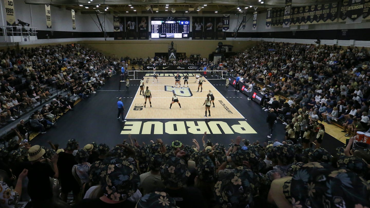 Purdue Volleyball Adds Former Miami Middle Blocker via Transfer Portal