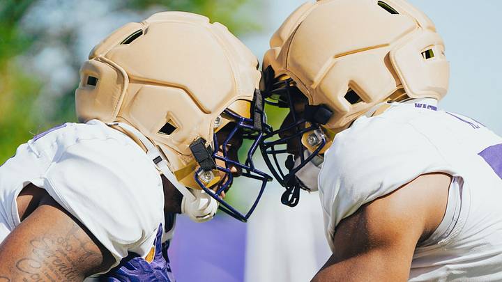 How Husky Transfers Have Fared This Spring