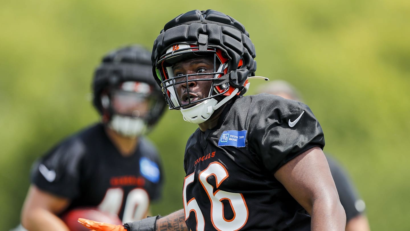 Cincinnati Bengals Sign Raymond Johnson III to Practice Squad