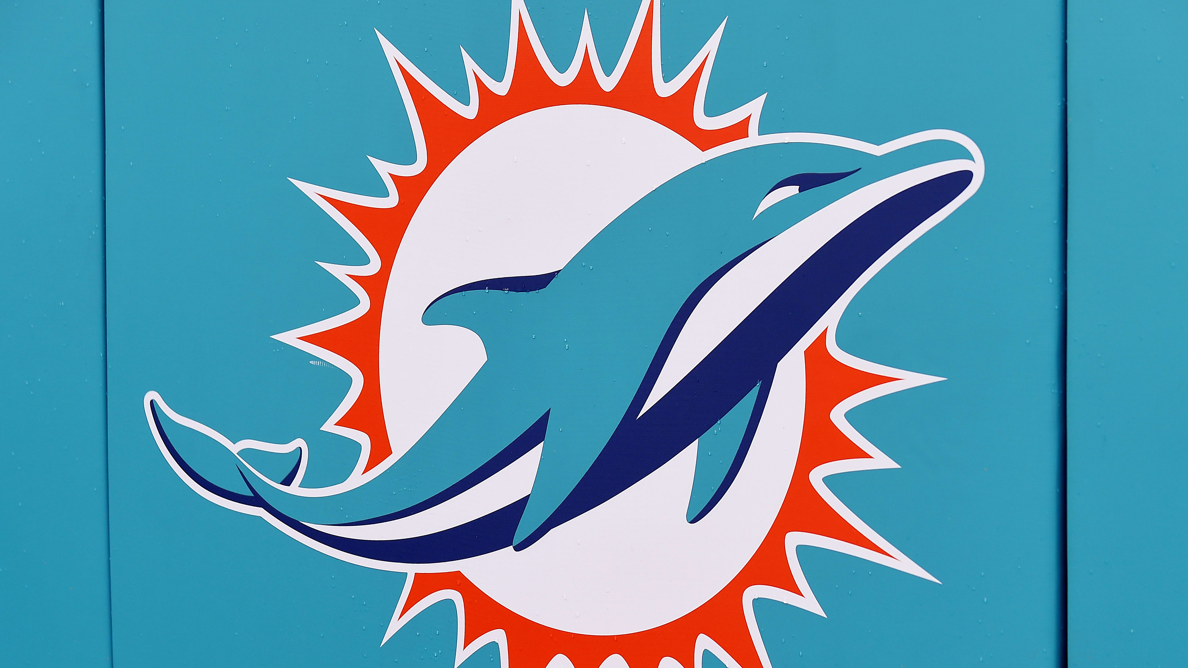 miami dolphins