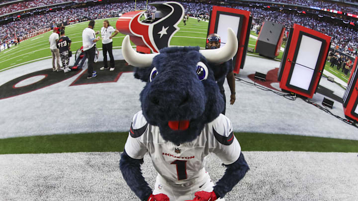 texans mascot