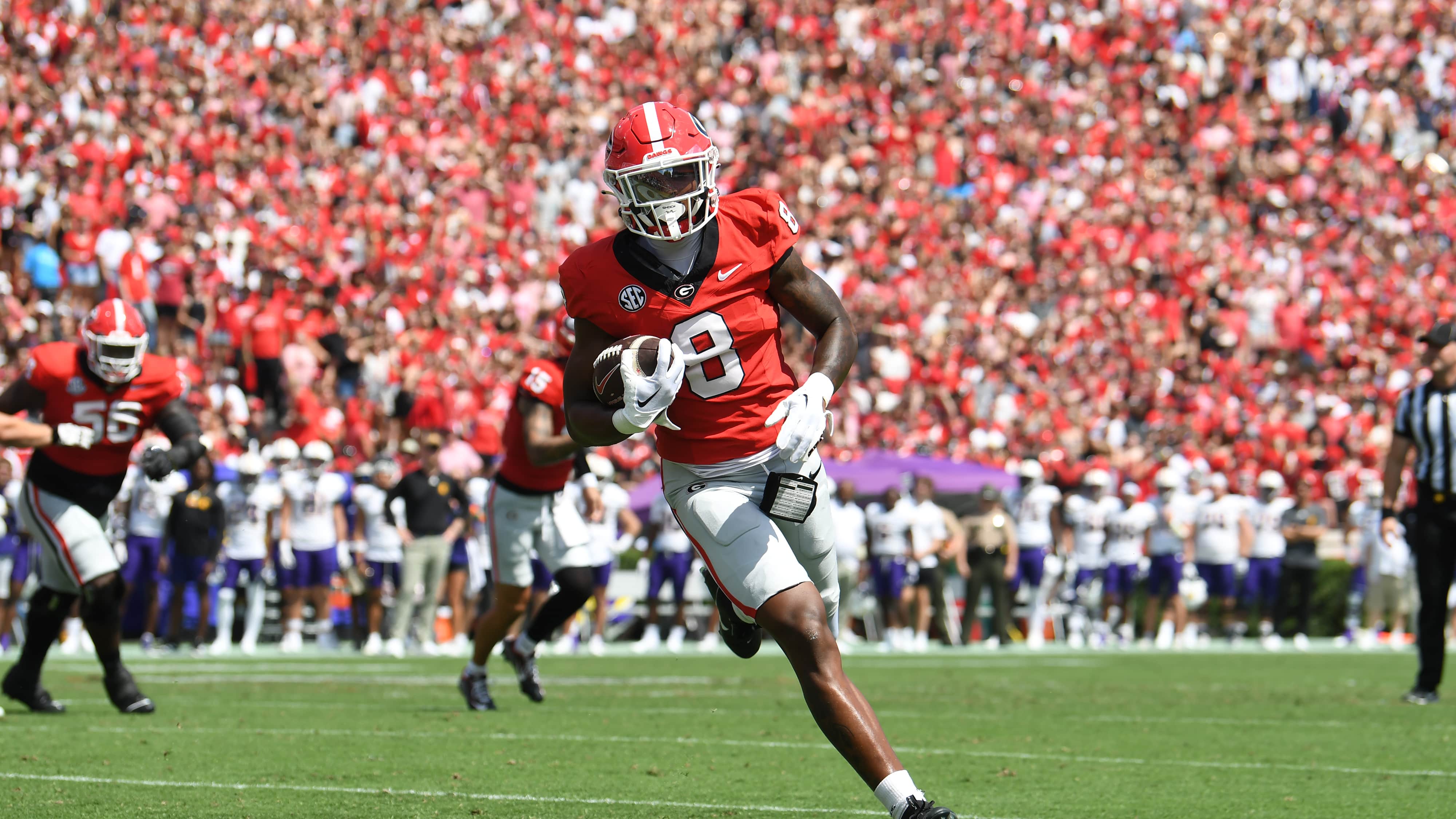 New court ruling could see WR Colbie Young return in 2025