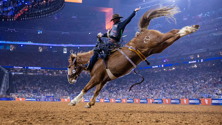 Houston Livestock Show and Rodeo Wild Card Saturday Wraps Up Advancing ...