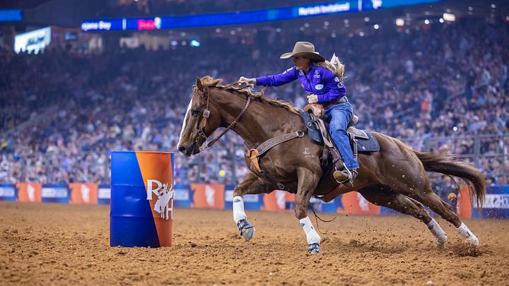 Unexpected Australian Raised Barrel Horse Turns Heads at Rodeo Houston ...