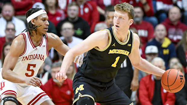 Why Did Similar Approaches Produce Different Results for Michigan, Indiana?