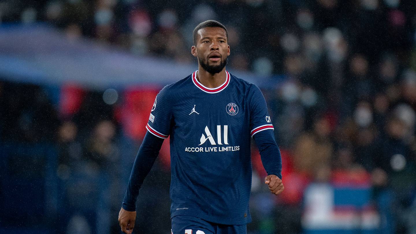 PSG will Wijnaldum verleihen - welche Rolle spielt Newcastle?