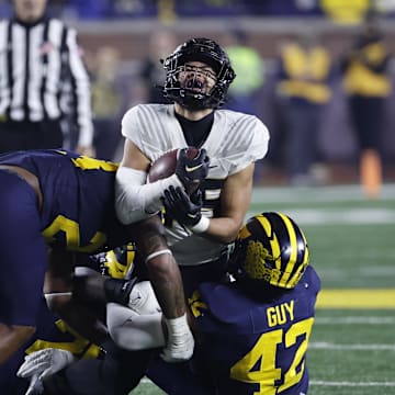 Michigan football S Quinten Johnson shares why he came back for one ...