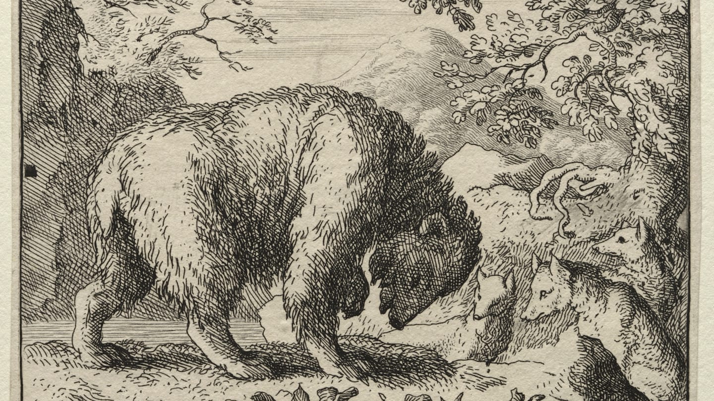 Call of the Cryptid: The mythical Gumberoo of North American folklore