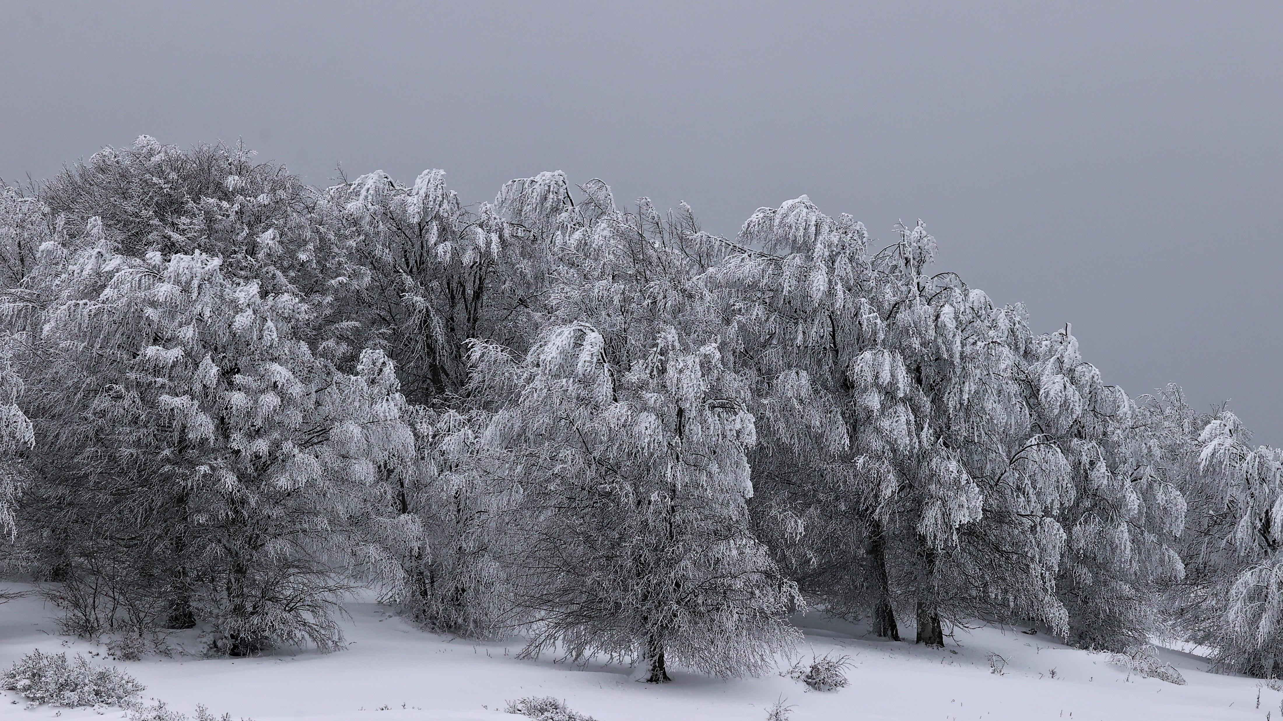 5 Books for the Winter Solstice