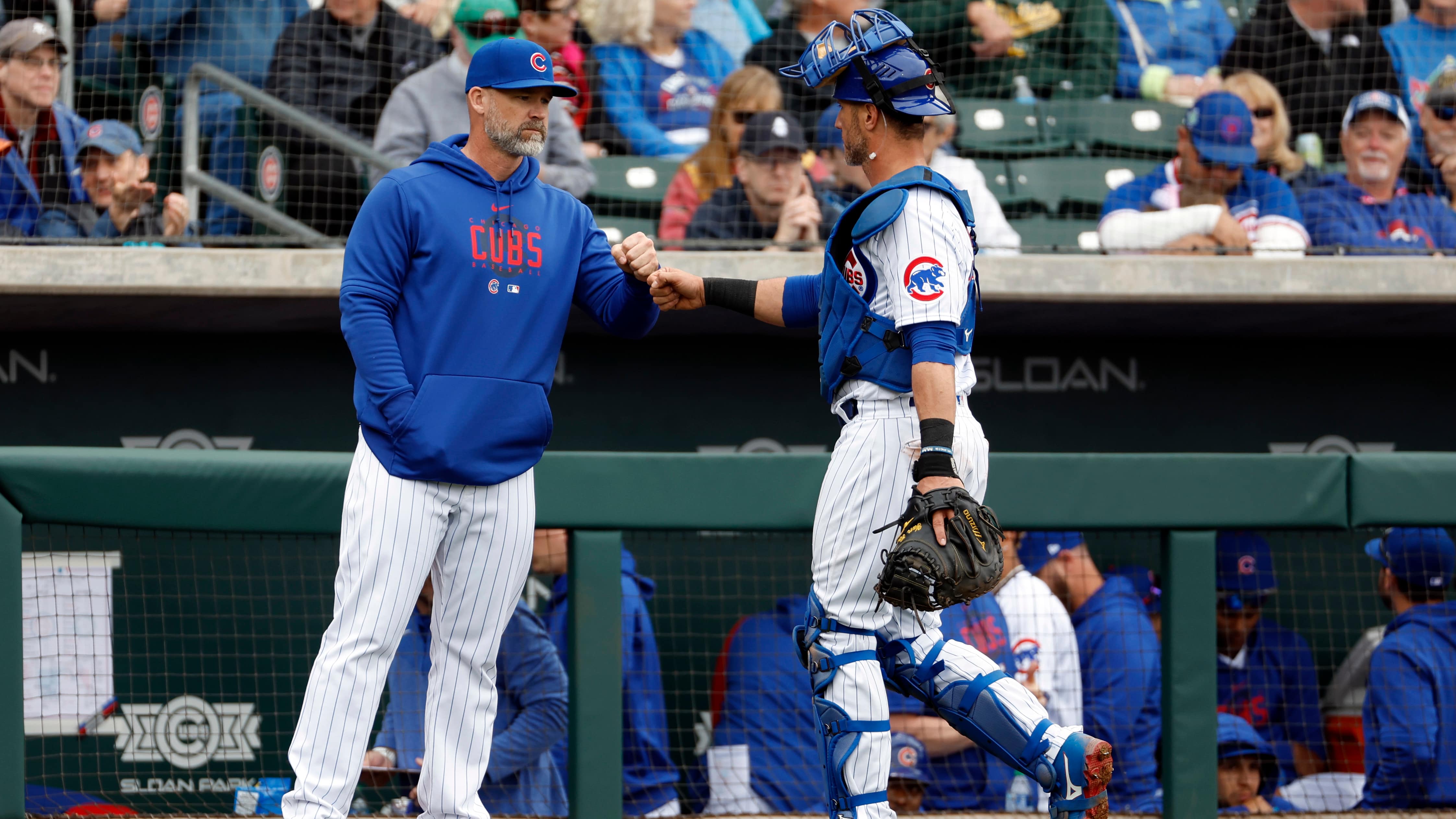 Cubs can't stop raving about their new catching tandem