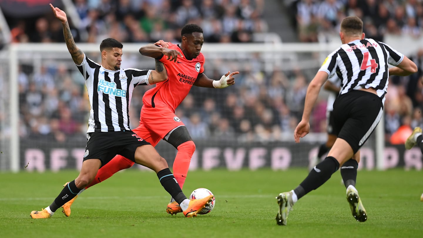 Newcastle x Brighton: onde assistir, escalações e palpite