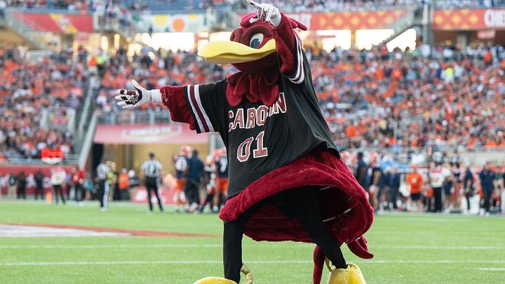 South Carolina Gamecocks 2026 safety target Tamarion Watkins sets ...