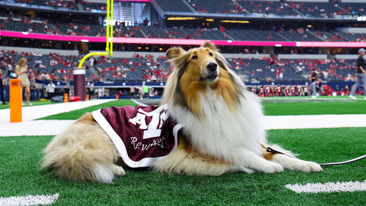 Texas A&M President Releases Medical Statement on Mascot Reveille X