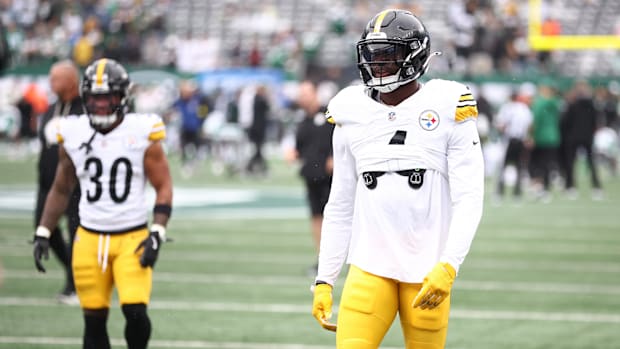 Pittsburgh Steelers Win Dog Fight Against Patriots