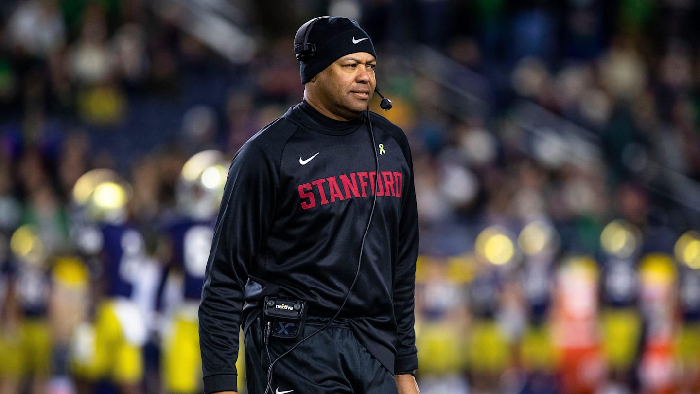 Where Does David Shaw Fit Best? Chicago? New Orleans? Somewhere Else?