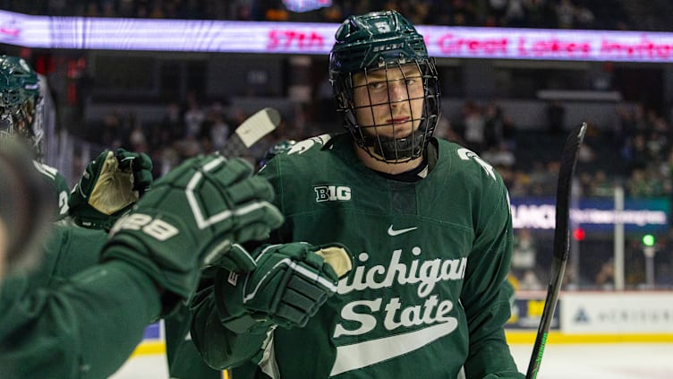 Is the 2024-2025 Chicago Blackhawks' Roster Starting to Take Shape?