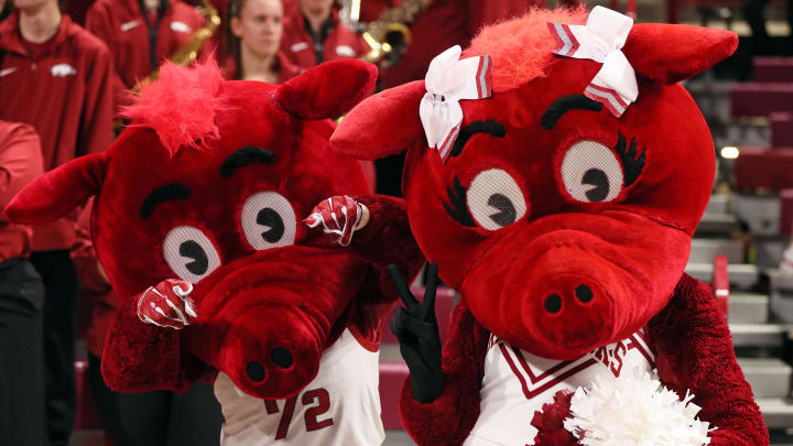 On National Mascot Day, SEC fans challenged to name as many league ...