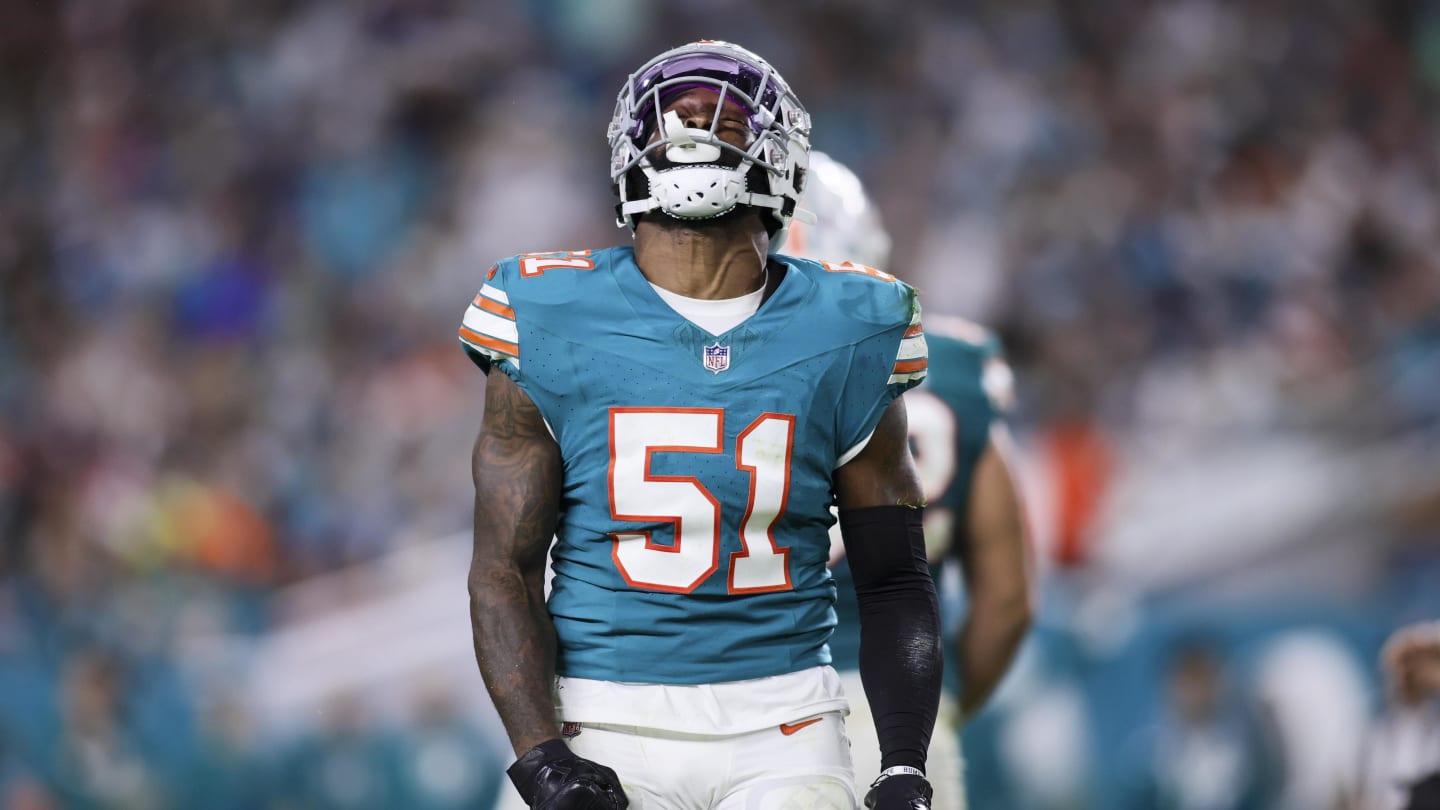 Miami Dolphins Training Camp Preview: LB David Long Jr.