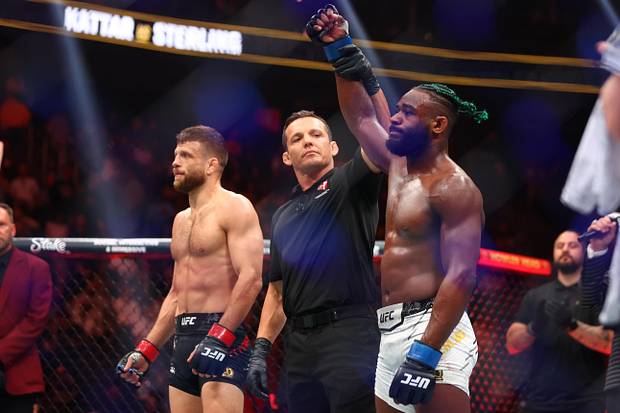 UFC fighter suspended by Nevada State Athletic Commission for striking fan
