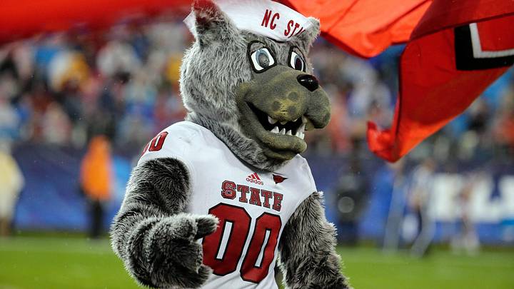 NC State Football Earns Transfer Wins on Consecutive Days