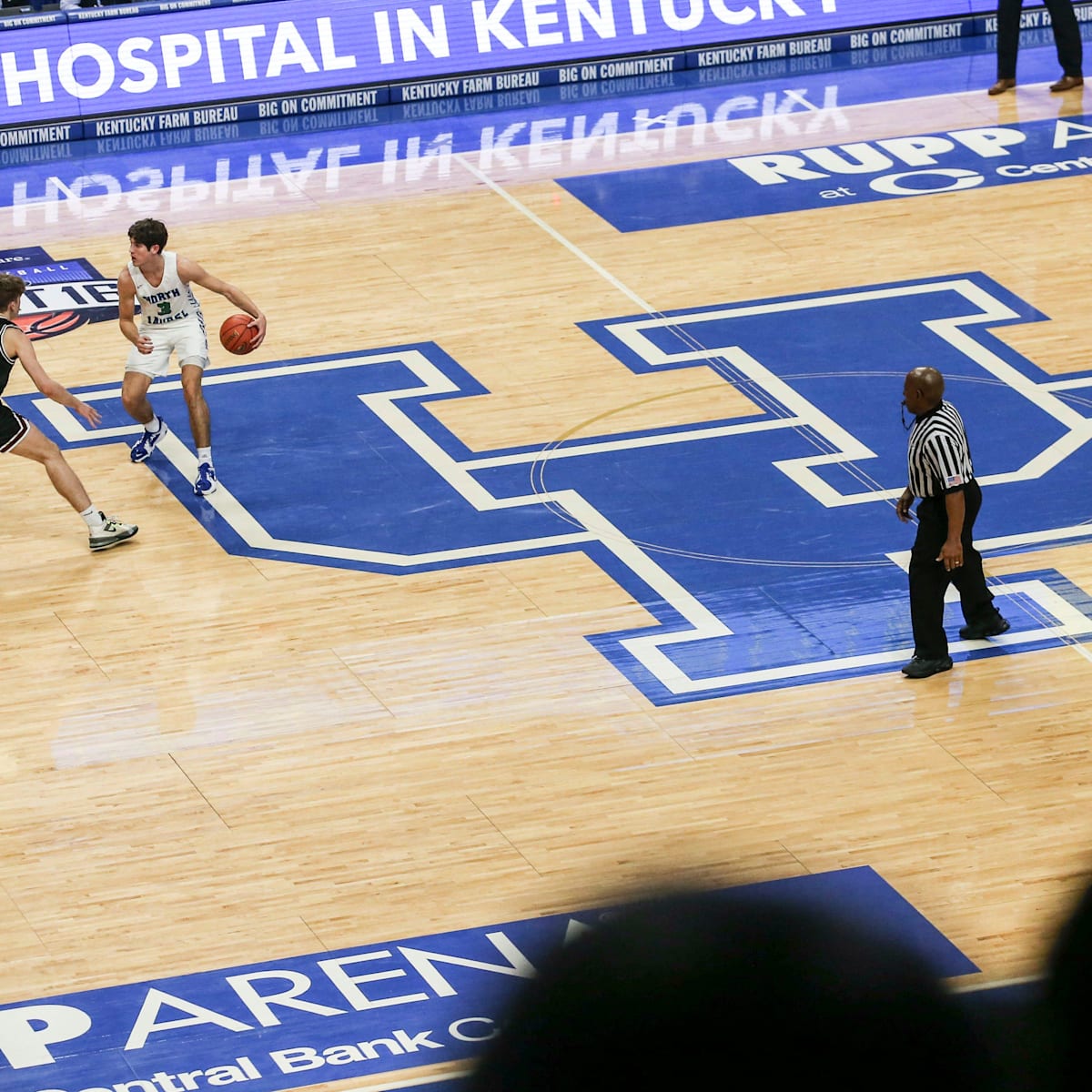 mark williams wingspan