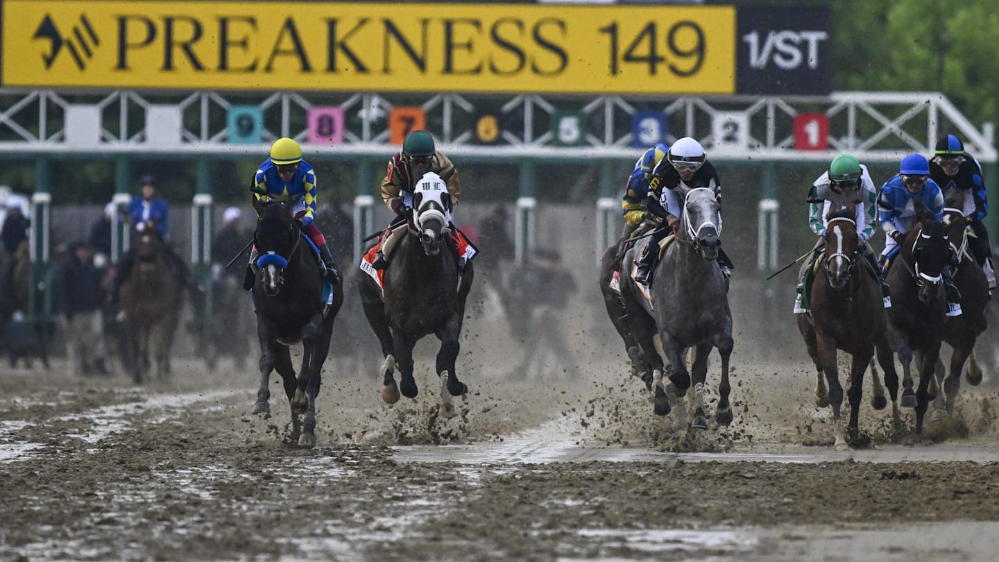 2025 Preakness Stakes Horse Profile & Betting Outlook: Pay Billy