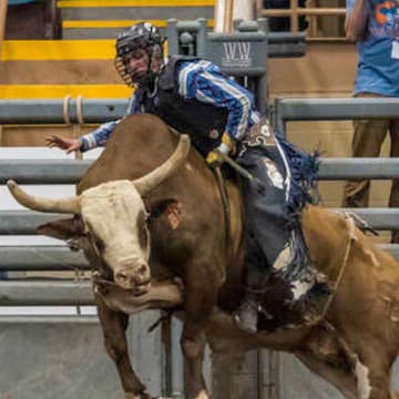 In College Rodeo Circles Tarleton State Is Synonymous With Grit and ...