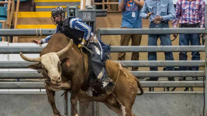 PRCA Standings: The Latest ProRodeo Standings Through June 9