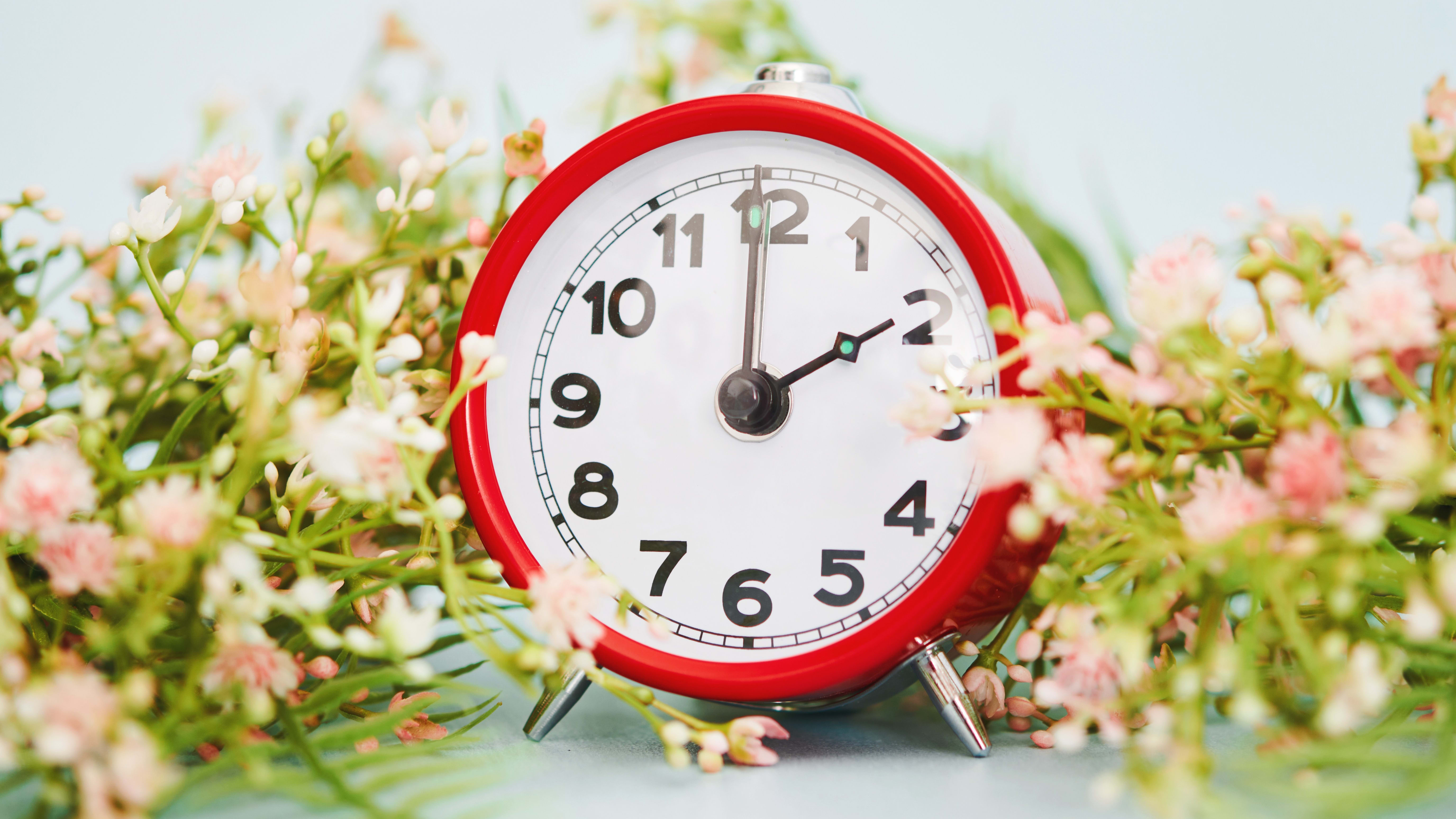 springtime clocks
