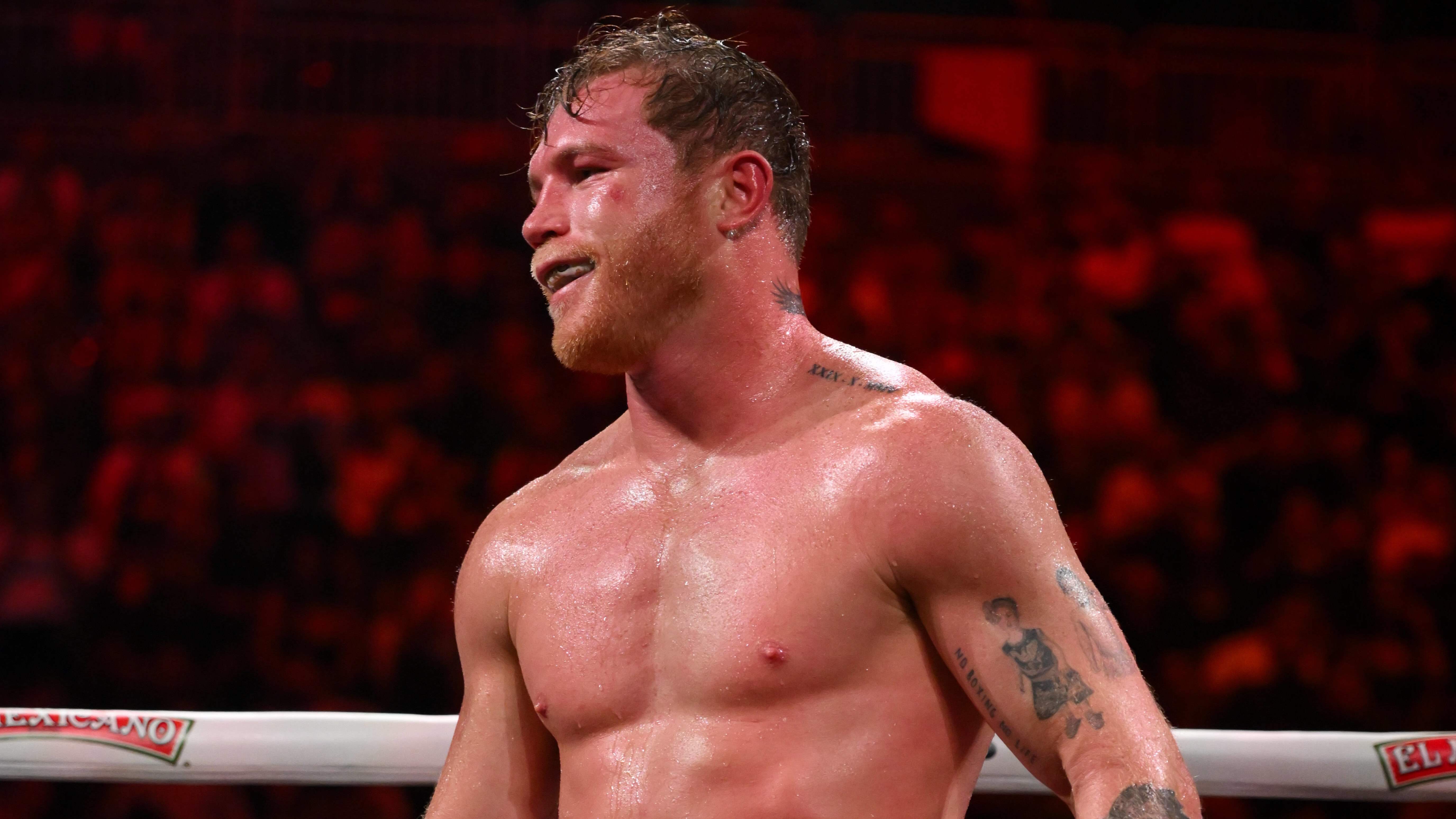 did canelo beat lara