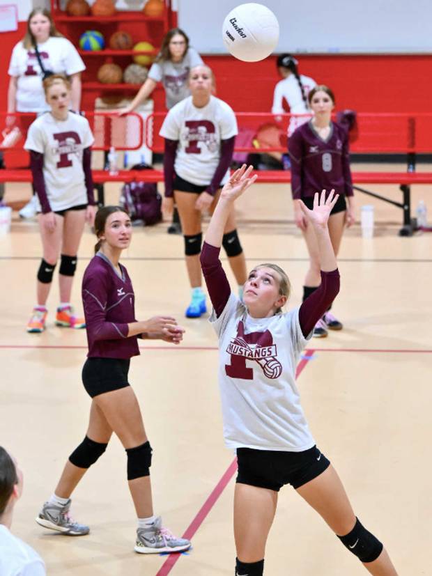 Photos: Dardanelle vs. Perryville in AR Varsity high school girls ...