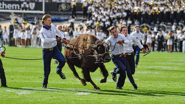 Colorado Buffaloes Reveal Next Step After Live Mascot Ralphie VI’s ...