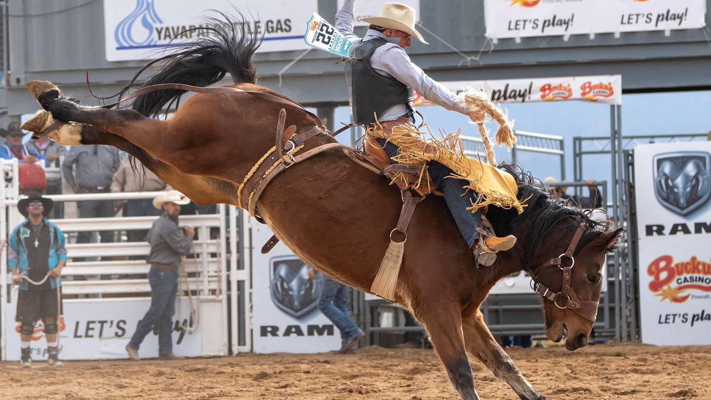 Dallas Rodeo