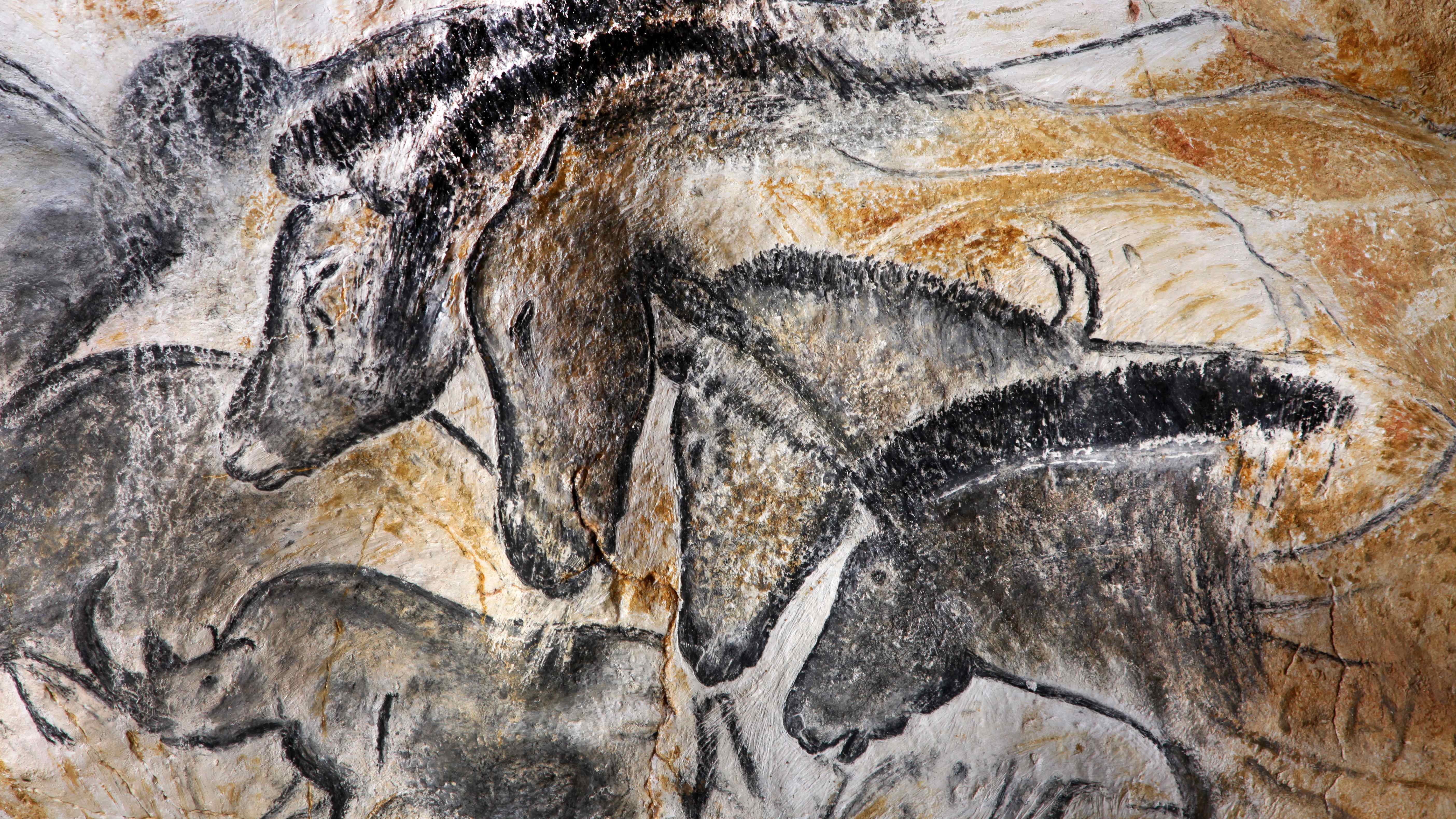 cave paintings pictures