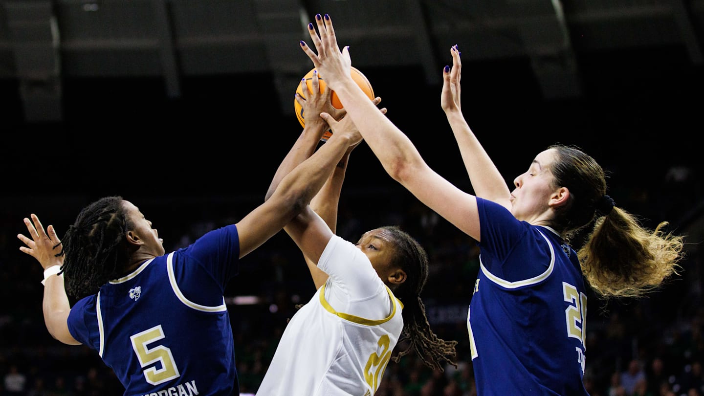 Georgia Tech Women's Basketball Has Been Active Under Newly Hired Coach ...