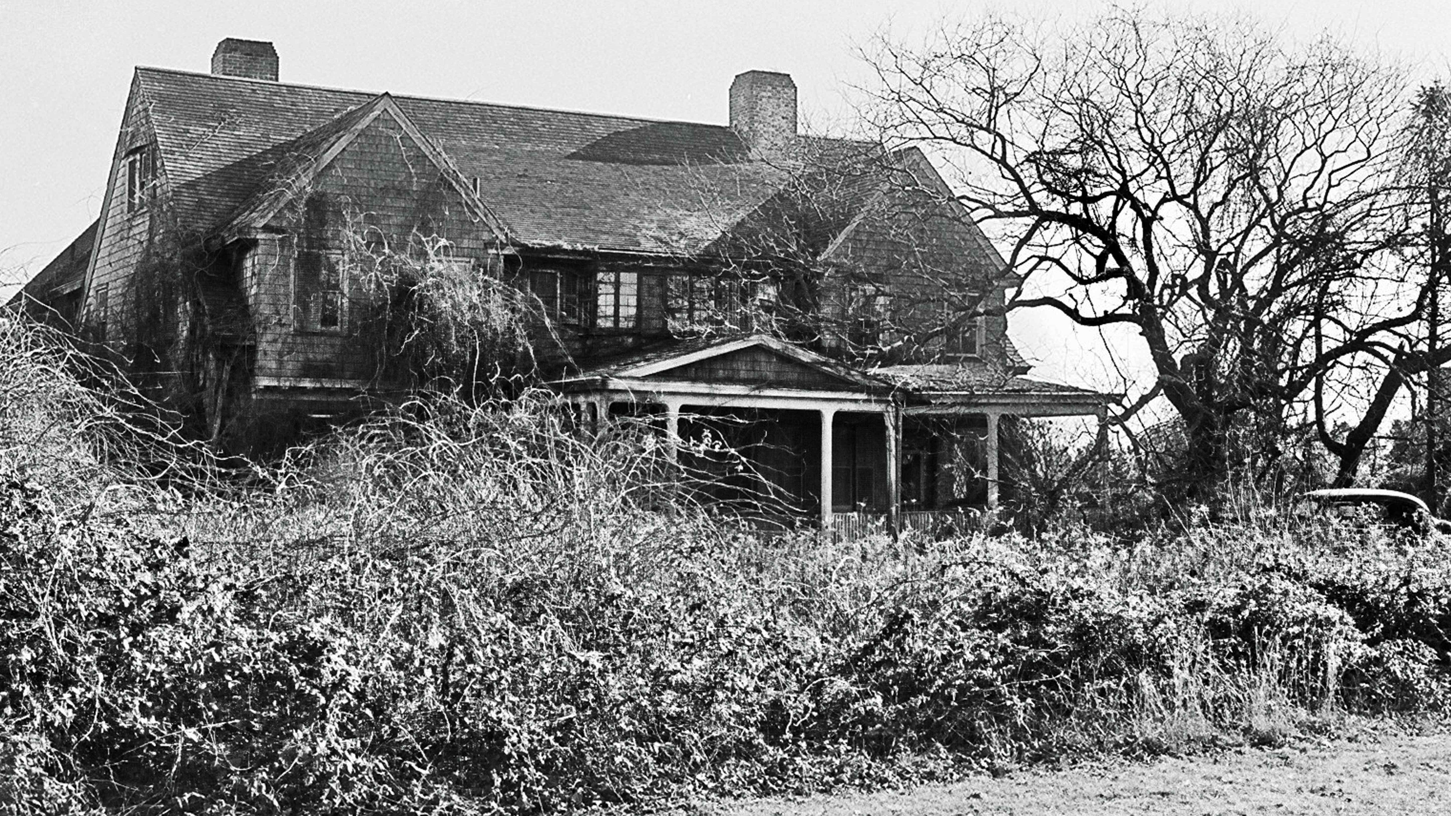 grey gardens documentary