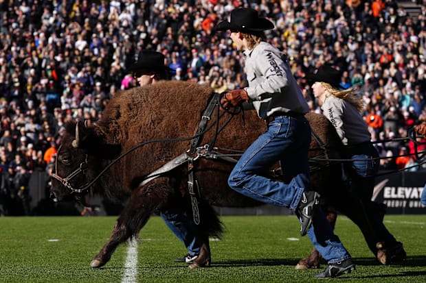 What Color Colorado Buffaloes Fans Should Wear For Stripe Out In Folsom ...
