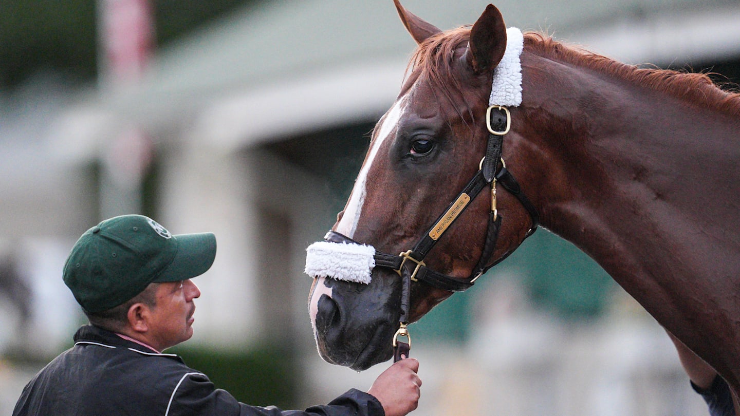 American Promise To Run In 2025 Preakness Stakes: Betting Outlook