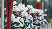 Minnesota High School Girls Hockey News, Scores, Rankings - Minnesota ...