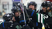 Minnesota High School Girls Hockey News, Scores, Rankings - Minnesota ...